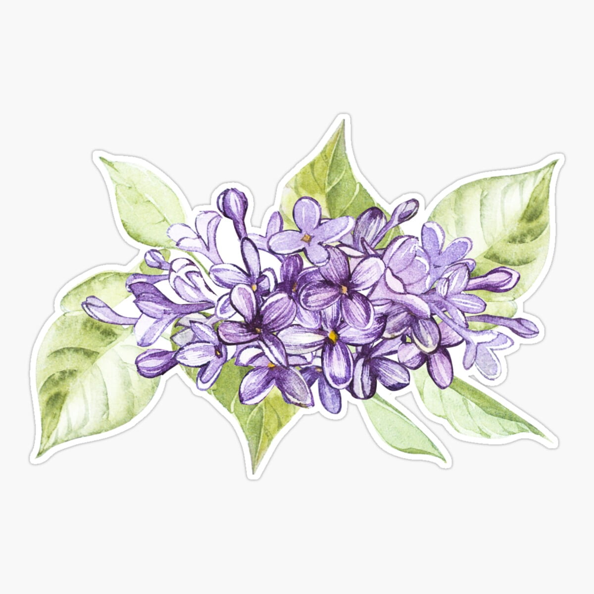DOPASTICKER Lilac Sticker, Phone Sticker Water Bottle Stickers Car ...