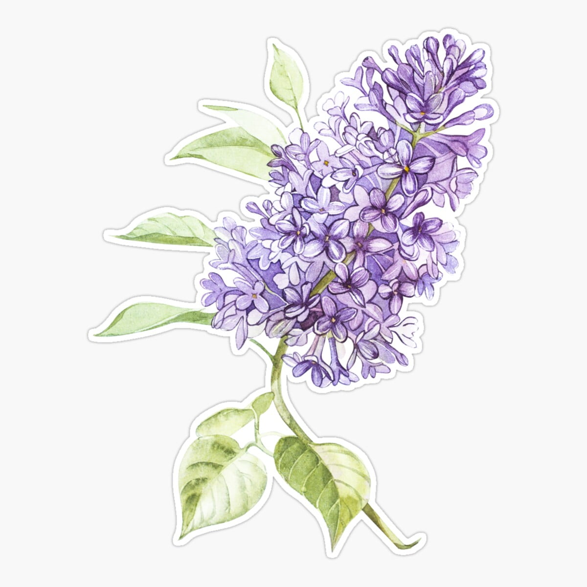 DOPASTICKER Lilac Sticker, Phone Sticker Water Bottle Stickers Car ...