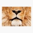 DOPASTICKER Lion Face King Of Jungle Sticker, Phone Sticker Car Sticker ...