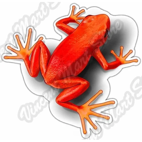 DOPASTICKER Little Red Frog Rain Forest Reptile Lizard Car Sticker ...