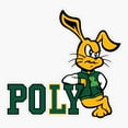 DOPASTICKER Long Beach Poly Logo Jackrabbit Green Sticker, Phone ...