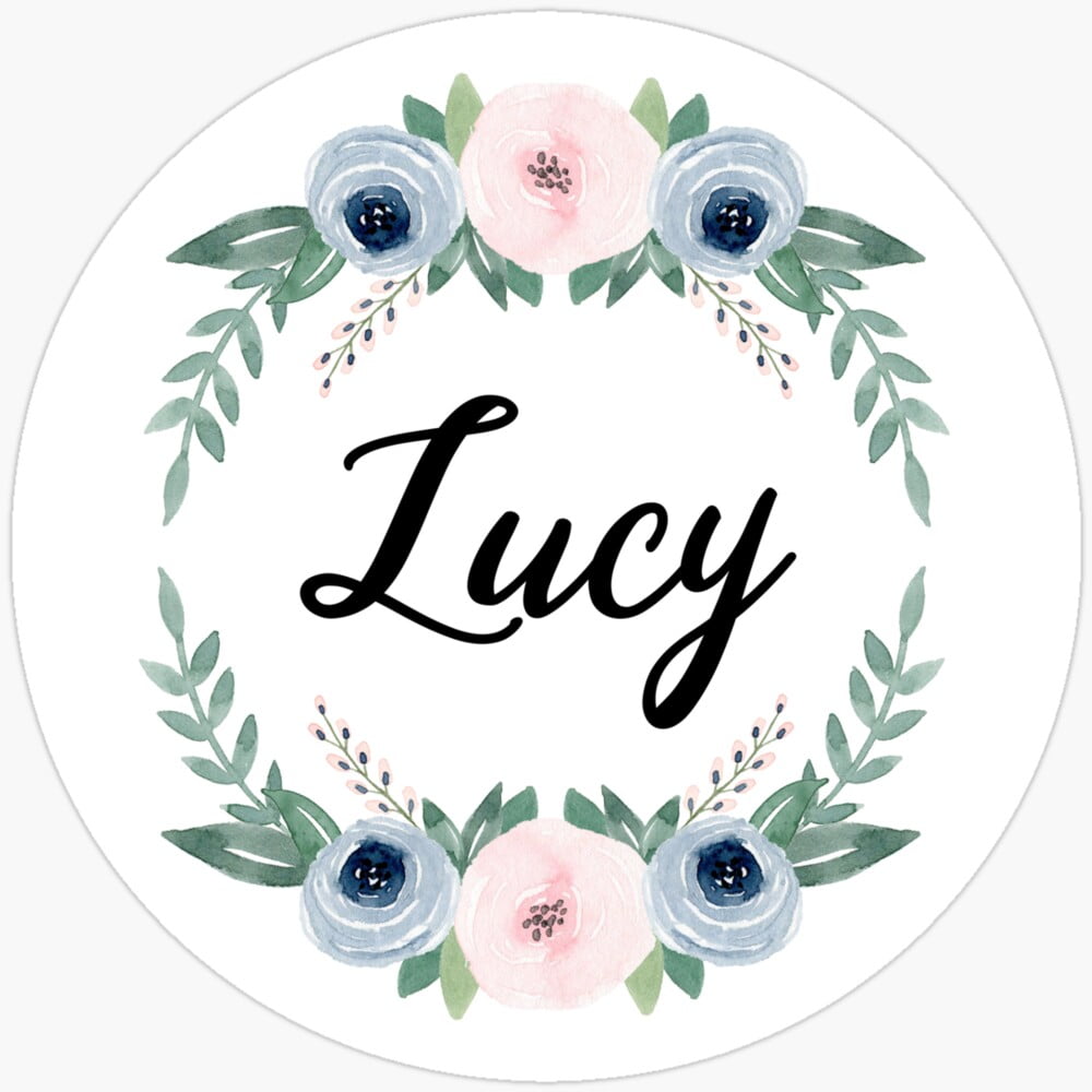 DOPASTICKER Lucy - Perfect Birthday Gift Everyone Phone Decal Water ...