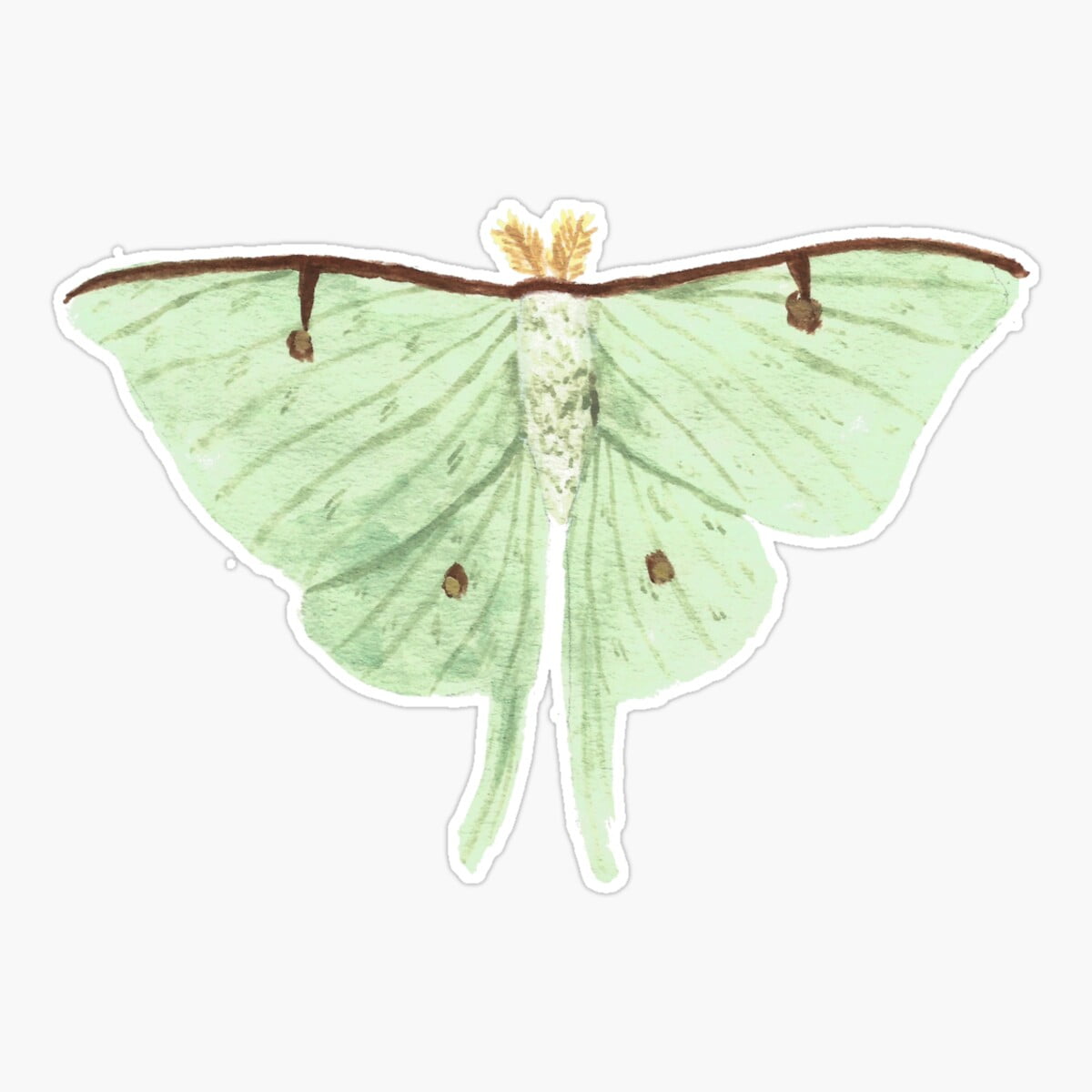 DOPASTICKER Luna Moth Sticker, Phone Sticker Car Stickers, Birthday ...