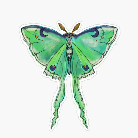 DOPASTICKER Luna Moth Variation Sticker, Phone Sticker Water Bottle ...