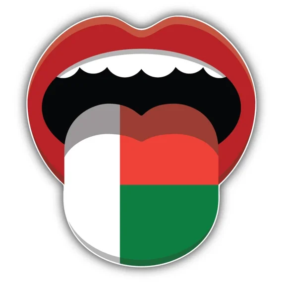 DOPASTICKER Madagascar Flag Mouth Car Sticker Phone Decal Water Bottle ...