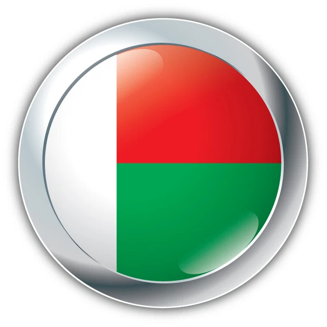 DOPASTICKER Madagascar Flag Silver Label Car Sticker Phone Decal Water ...