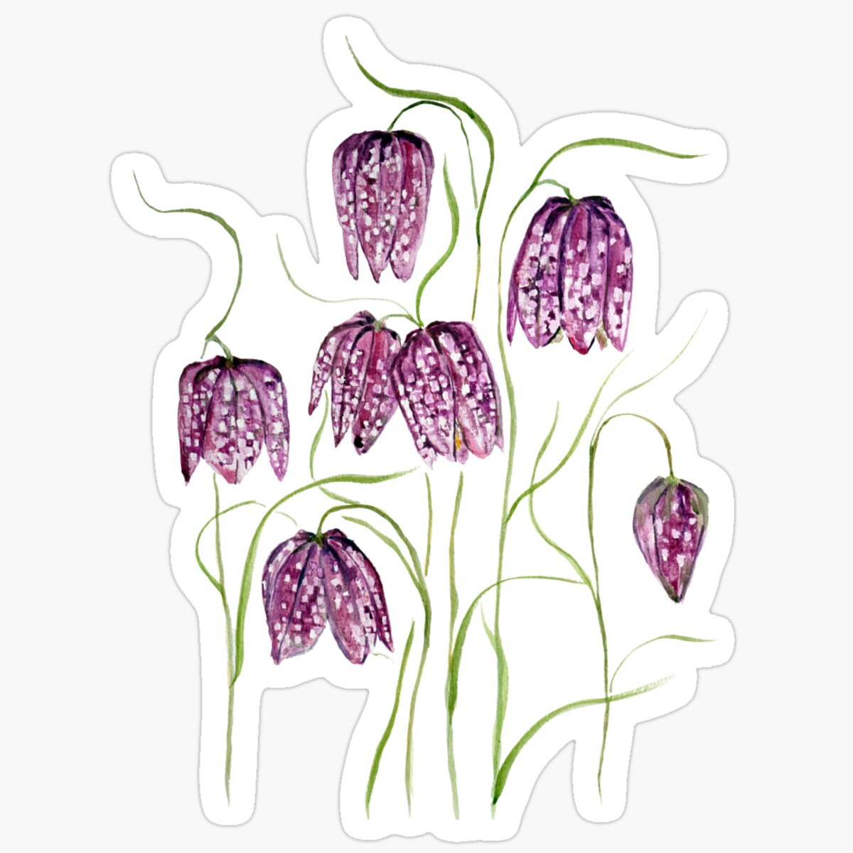 DOPASTICKER Magenta Purple Snake Head Fritillary Watercolour Sticker ...