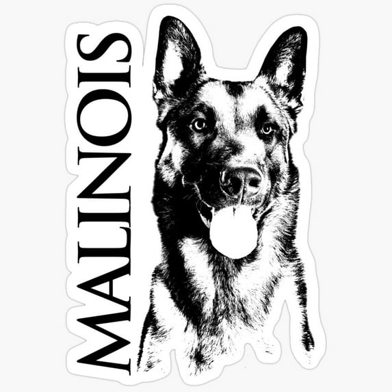DOPASTICKER Malinois - Belgian Shepherd -Mechelaar -Maligator Sticker ...
