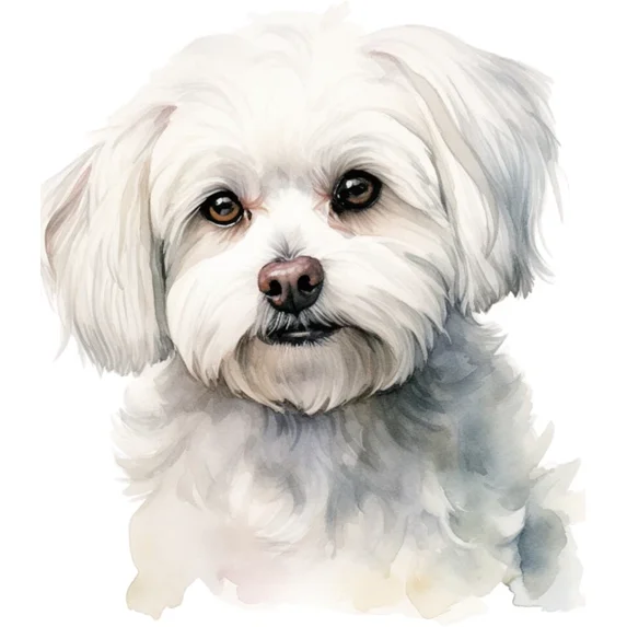 DOPASTICKER Malteser Auto Aufkleber Hunde Sticker Phone Sticker, Latop ...