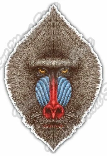 DOPASTICKER Mandrill Baboon Monkey Ape Gelada Face Zoo Car Sticker ...