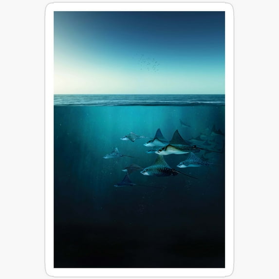 DOPASTICKER Manta Ray Wall Art Sticker Waterproof Sticker For Water ...