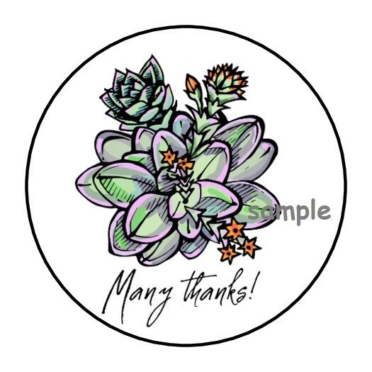 DOPASTICKER Many Thanks Stickers Succulents Gifts Phone Decal Water ...