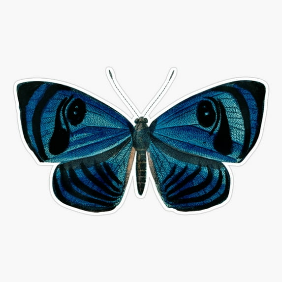 DOPASTICKER Mariposa Cottage Core Ii Sticker, Phone Sticker Car Sticker ...