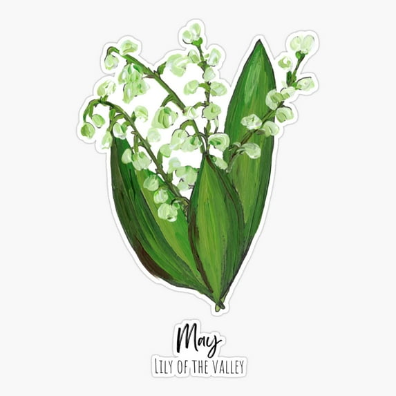 DOPASTICKER May Birth Flower Lily Of The Valley Sticker, Phone Sticker ...