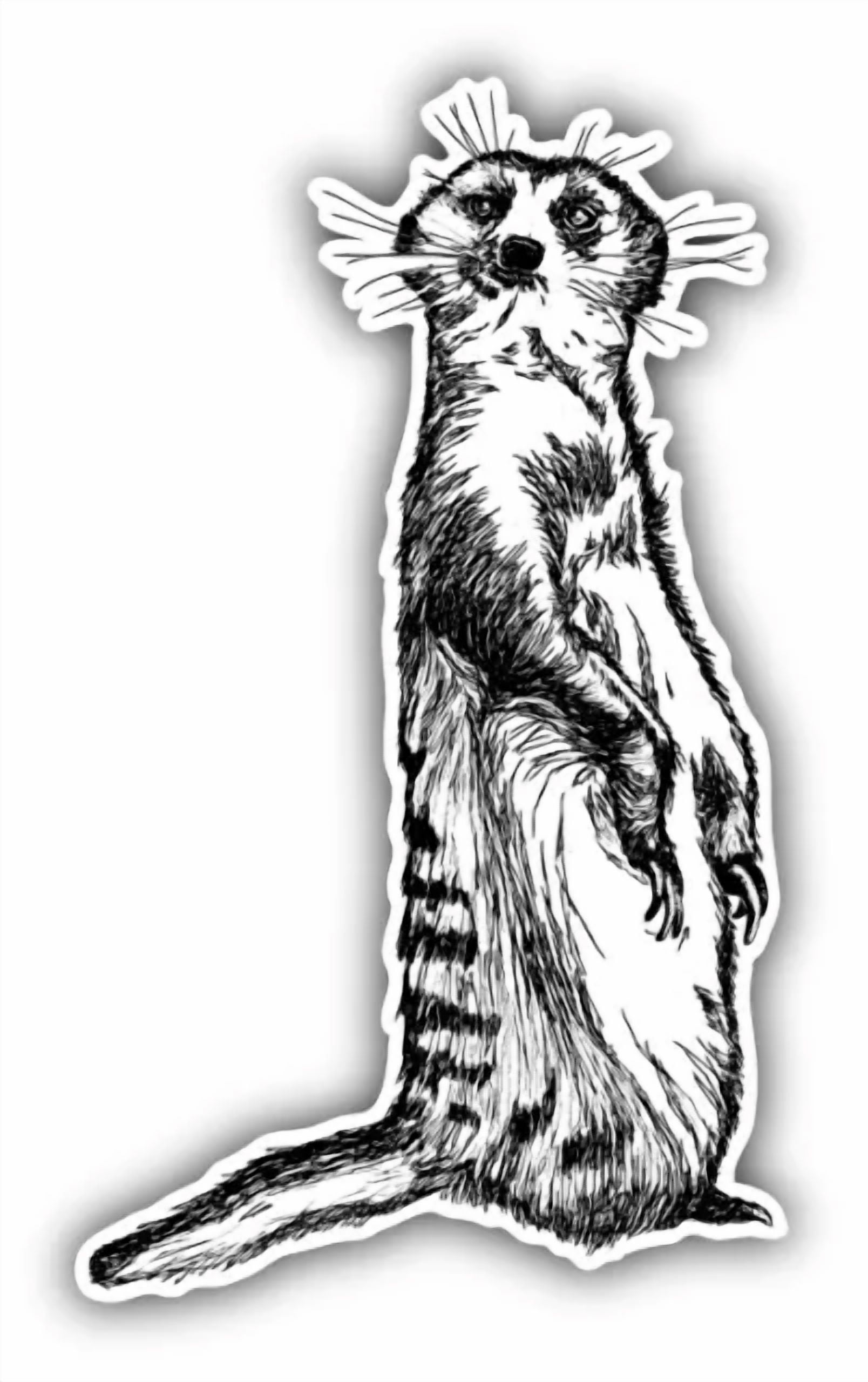 DOPASTICKER Meerkat Sketch Sticker Decal Phone Decal Water Bottle ...
