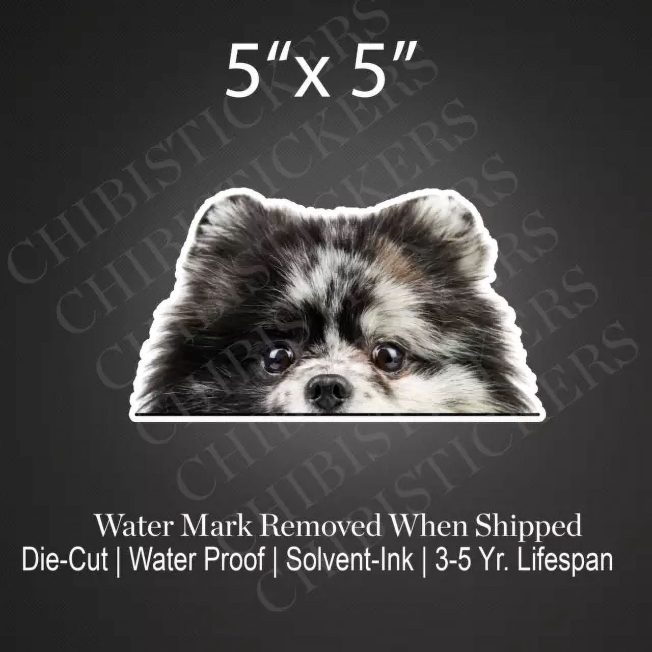 DOPASTICKER Merle Blue Pomeranian Waving Hi Spitz Dog Waterproof ...