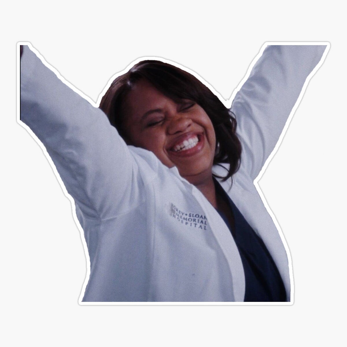 DOPASTICKER Miranda Bailey Sticker, Phone Sticker Water Bottle Sticker ...