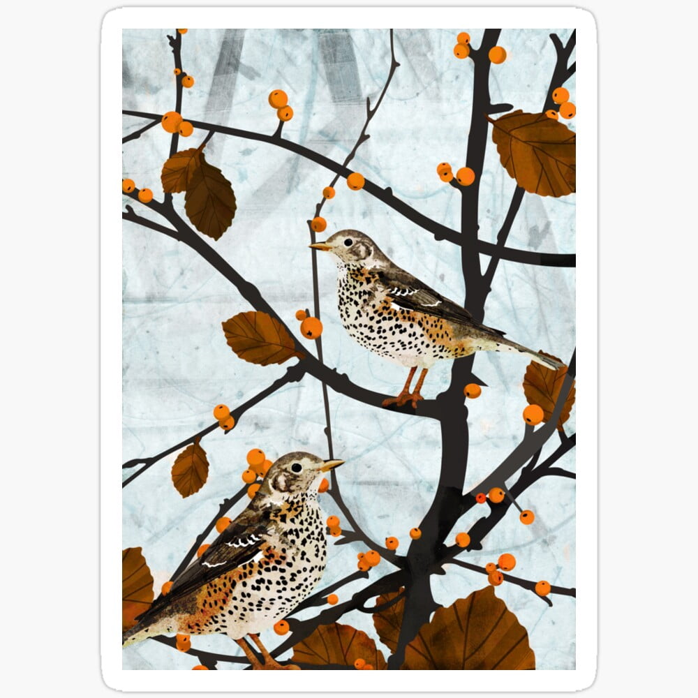 DOPASTICKER Mistle Thrush Sticker Phone Decal Water Bottle Stickers ...