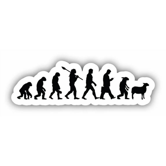 DOPASTICKER Modern Evolution Sticker Decal Phone Decal Water Bottle ...
