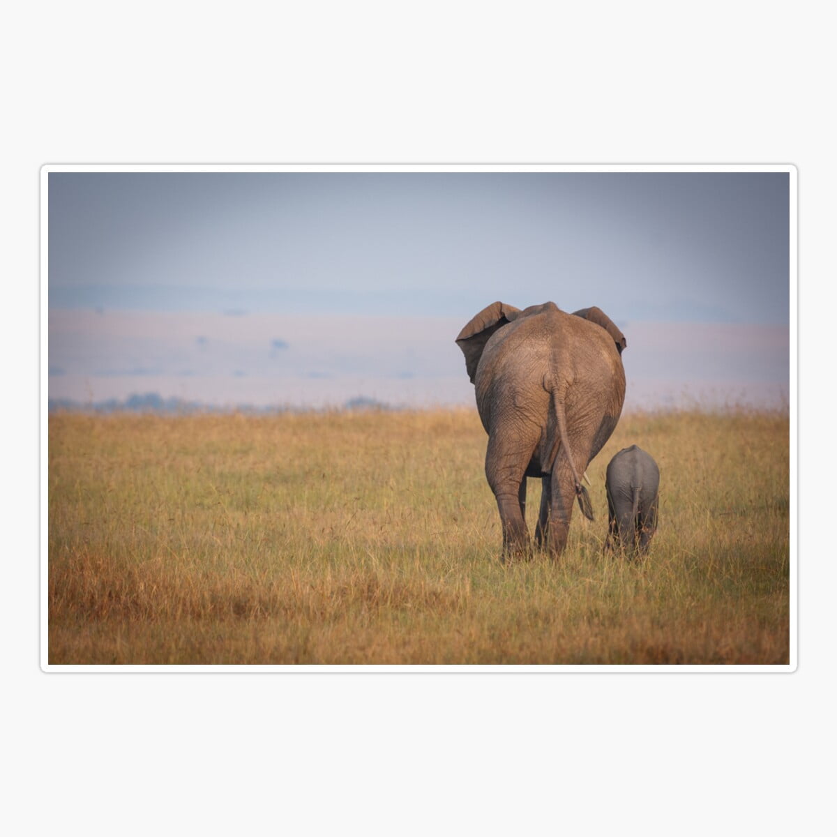 DOPASTICKER Mom And Baby Elephant Sticker, Phone Sticker Car Sticker ...