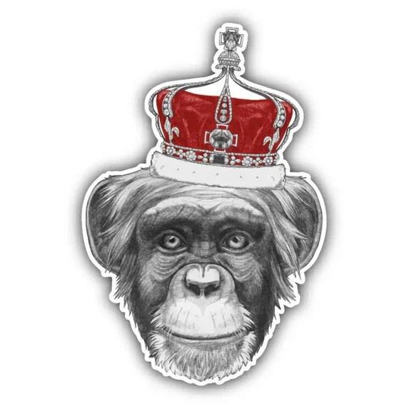 DOPASTICKER Monkey King Sticker Decal Phone Decal Water Bottle Stickers ...