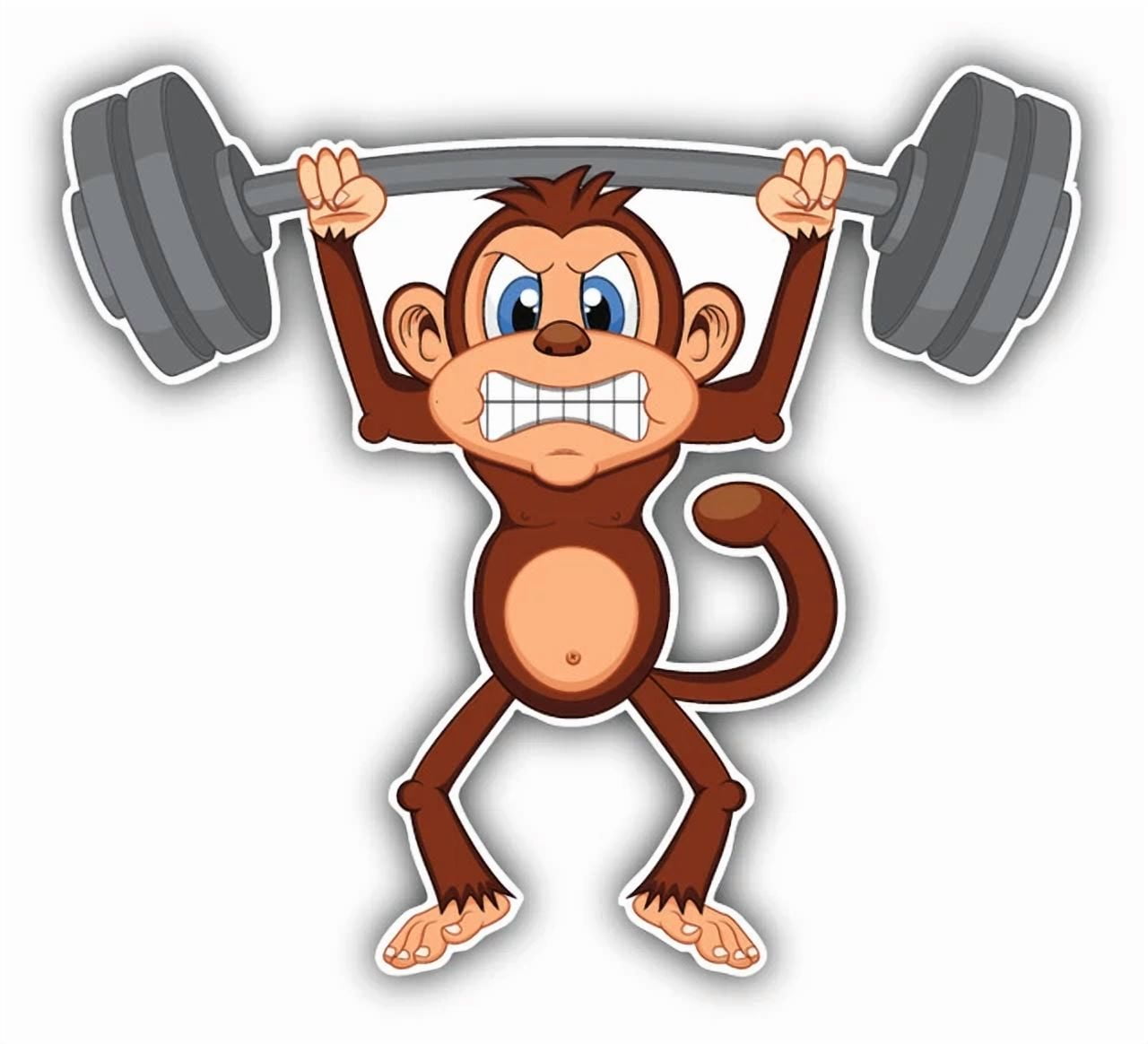 DOPASTICKER Monkey Weightlifter Cartoon Car Sticker Phone Water Bottle ...