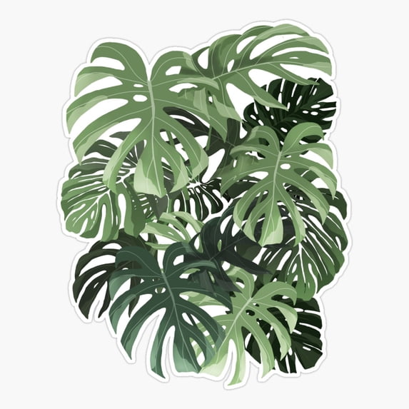 DOPASTICKER Monstera Deliciosa Leaves Sticker, Phone Sticker Car ...