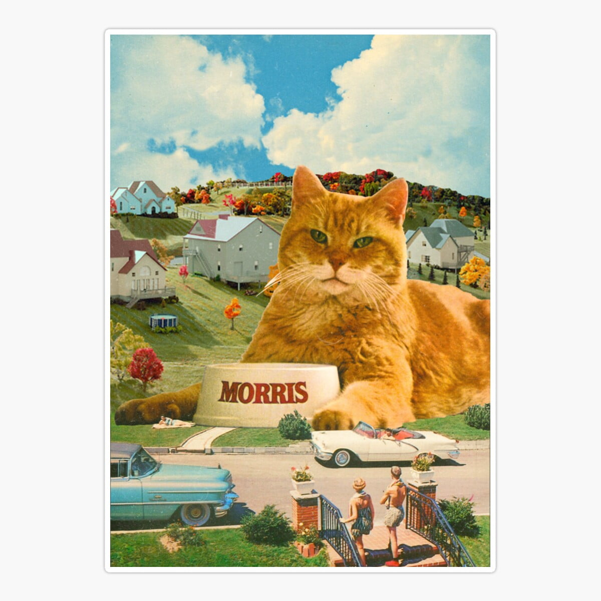 DOPASTICKER Morris The Cat Sticker, Phone Sticker Water Bottle Sticker ...