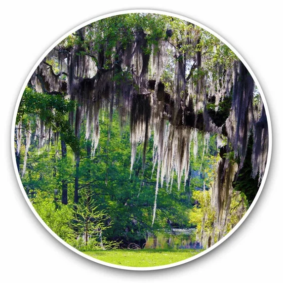 DOPASTICKER Mossy Oak Tree Nature Trees Cool Gift Decorative Laptop ...