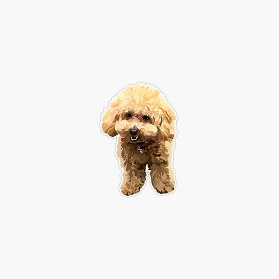 DOPASTICKER Muffin The Toy Poodle Sticker, Phone Sticker Car Sticker ...