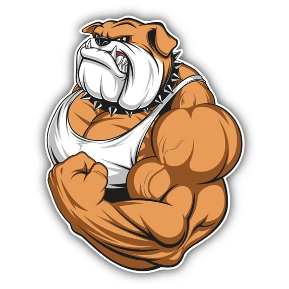 DOPASTICKER Muscular Bulldog Car Sticker Phone Water Bottle Stickers ...