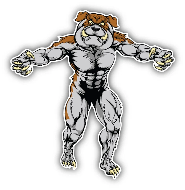 DOPASTICKER Muscular Bulldog Sticker Decal Phone Decal Water Bottle ...