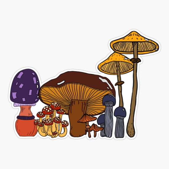 DOPASTICKER Mushroom Doodle Sticker, Phone Sticker Water Bottle Sticker ...