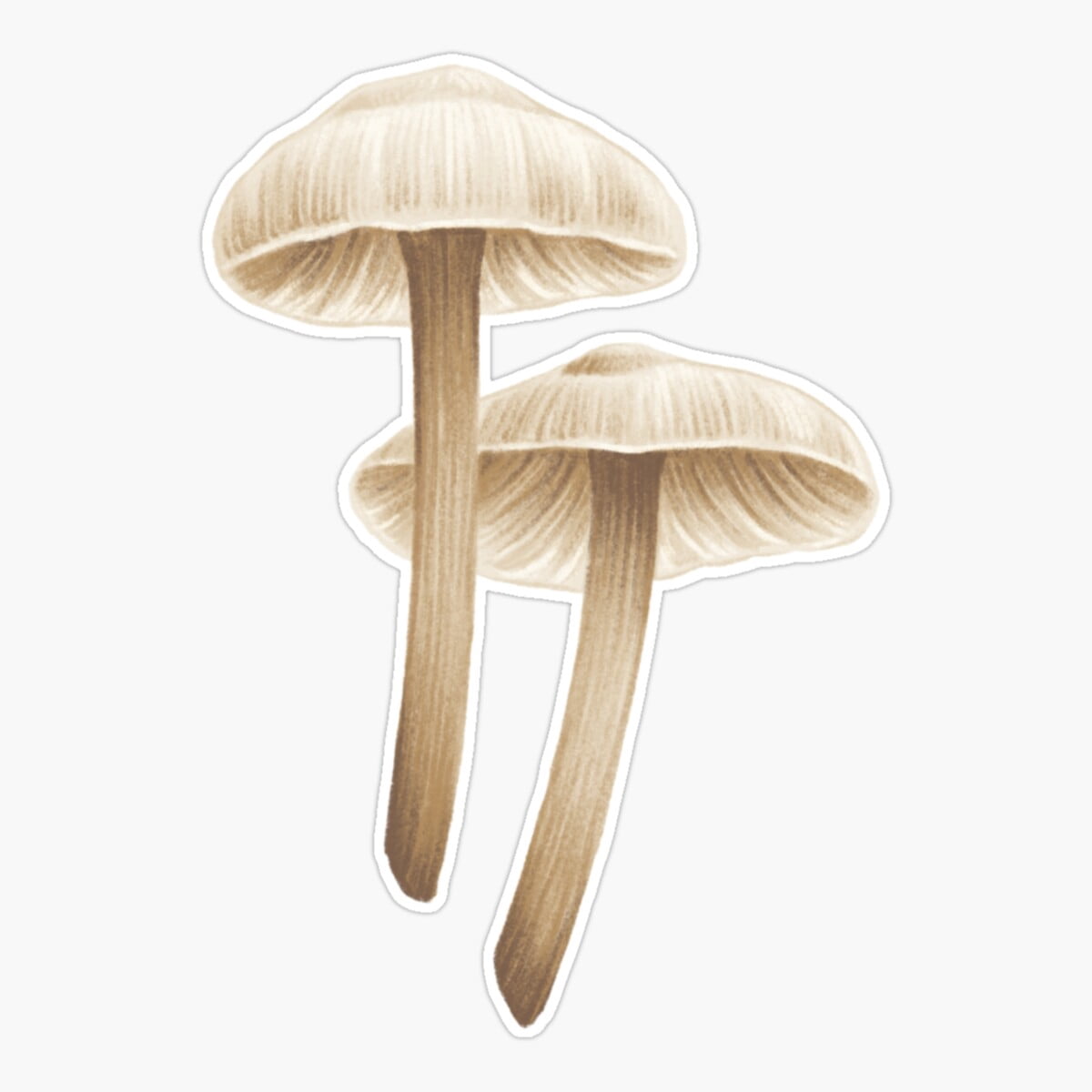 DOPASTICKER Mushrooms Sticker, Phone Sticker Water Bottle Sticker Car ...