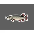DOPASTICKER Muskie Sticker Fish Animal Wildlife Nature Gift Sticker ...