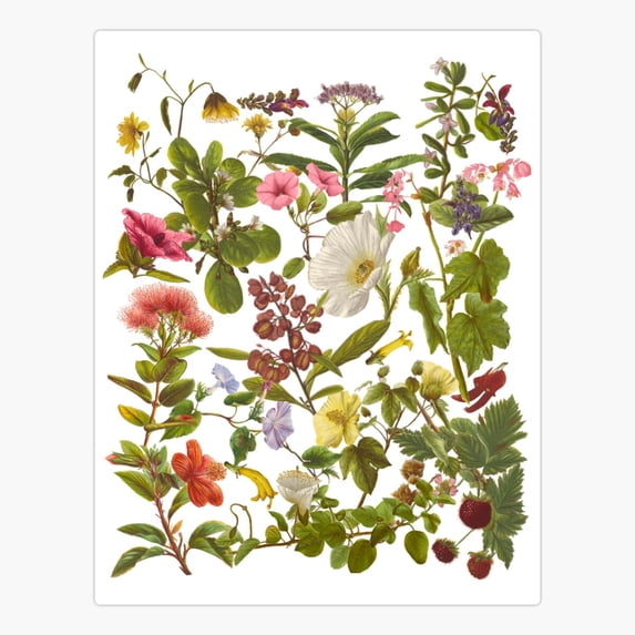 DOPASTICKER Native Hawaiian Flowers Botanical Design Sticker, Phone ...
