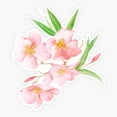 DOPASTICKER Nerium Oleander Sticker, Phone Sticker Water Bottle Sticker ...