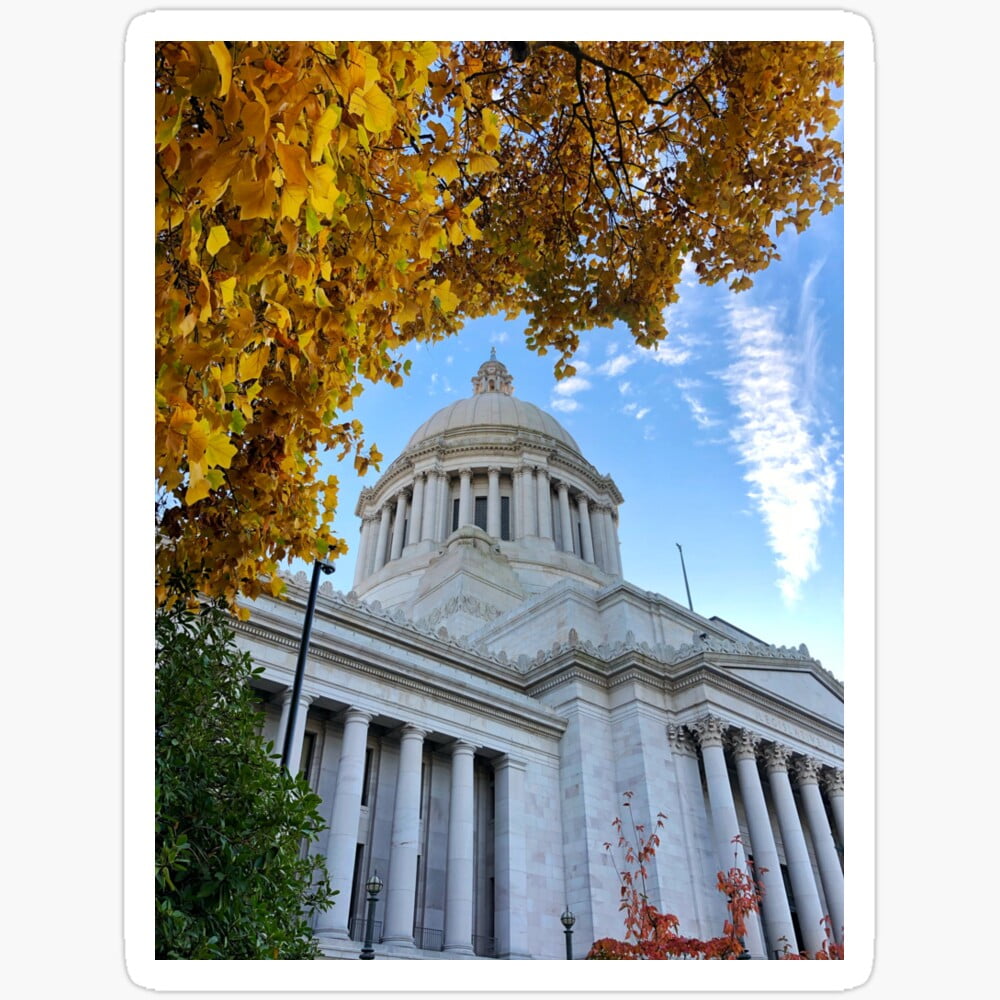 DOPASTICKER Never Underestimate A Woman Who Loves Leo.Pards Sticker, Decorate Laptops, Water ...