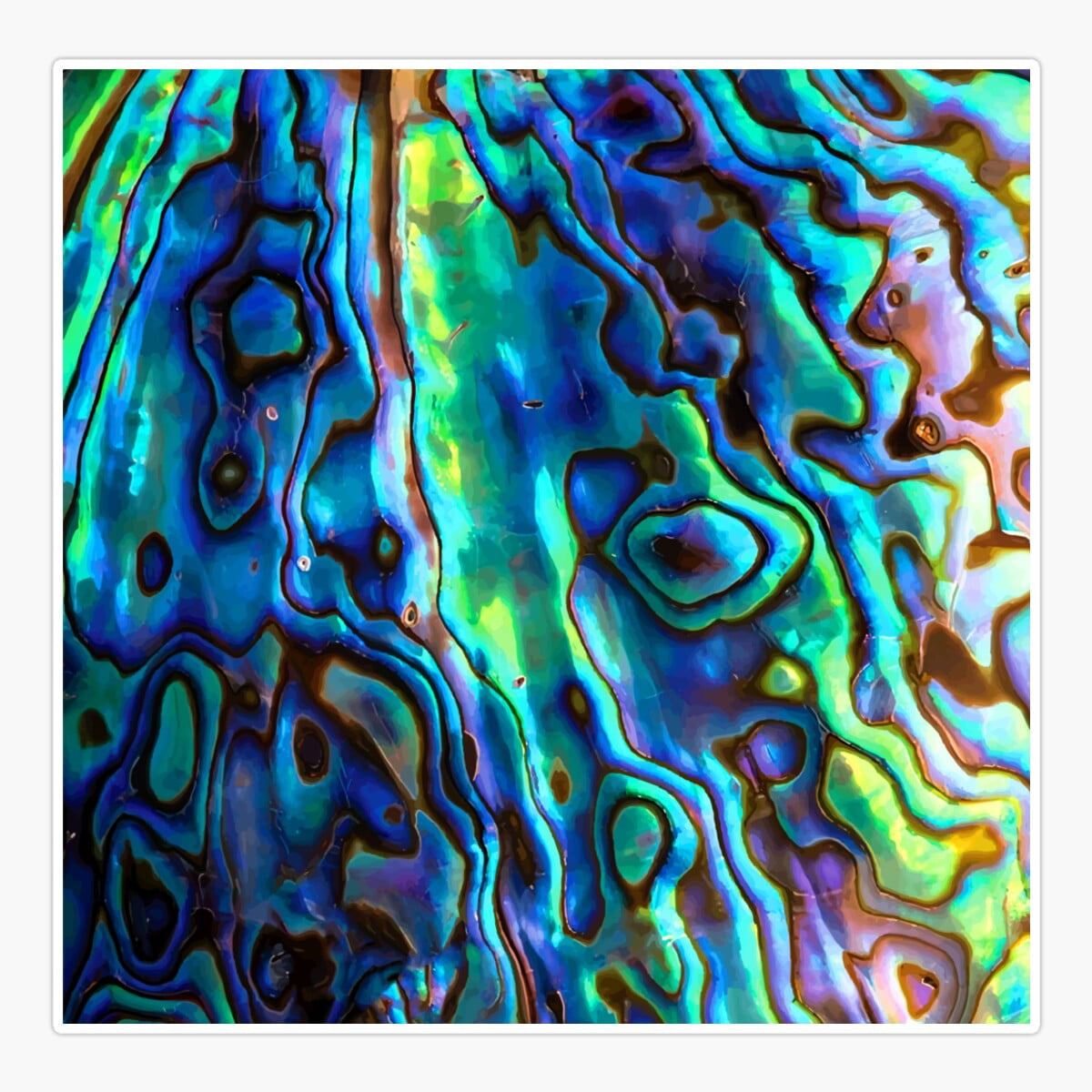 DOPASTICKER New Zealand Paua Shell, Kiwi Kiwiana Mä Ori Sticker, Phone ...