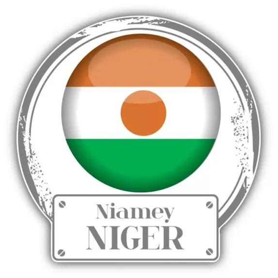 DOPASTICKER Niger Flag Label Car Sticker Phone Decal Water Bottle ...