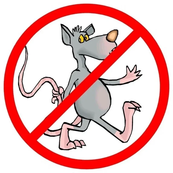 DOPASTICKER No Rats Walking In Sticker Laptop Phone Decal Water Bottle ...