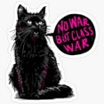 DOPASTICKER No War But Class War Cat Sticker Phone Sticker, Latop ...