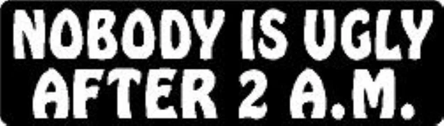 DOPASTICKER Nobody Is Ugly After 2 A.M. Sticker Phone Decal Water ...