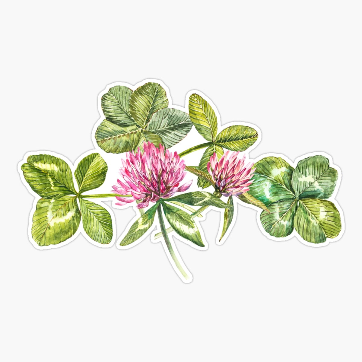 DOPASTICKER Nook Inc Logo Sticker, Phone Sticker Car Stickers, Birthday ...