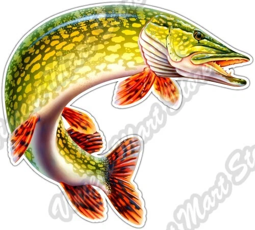 DOPASTICKER Northern Pike Musky Fish Fishing Fisherman Car Sticker ...
