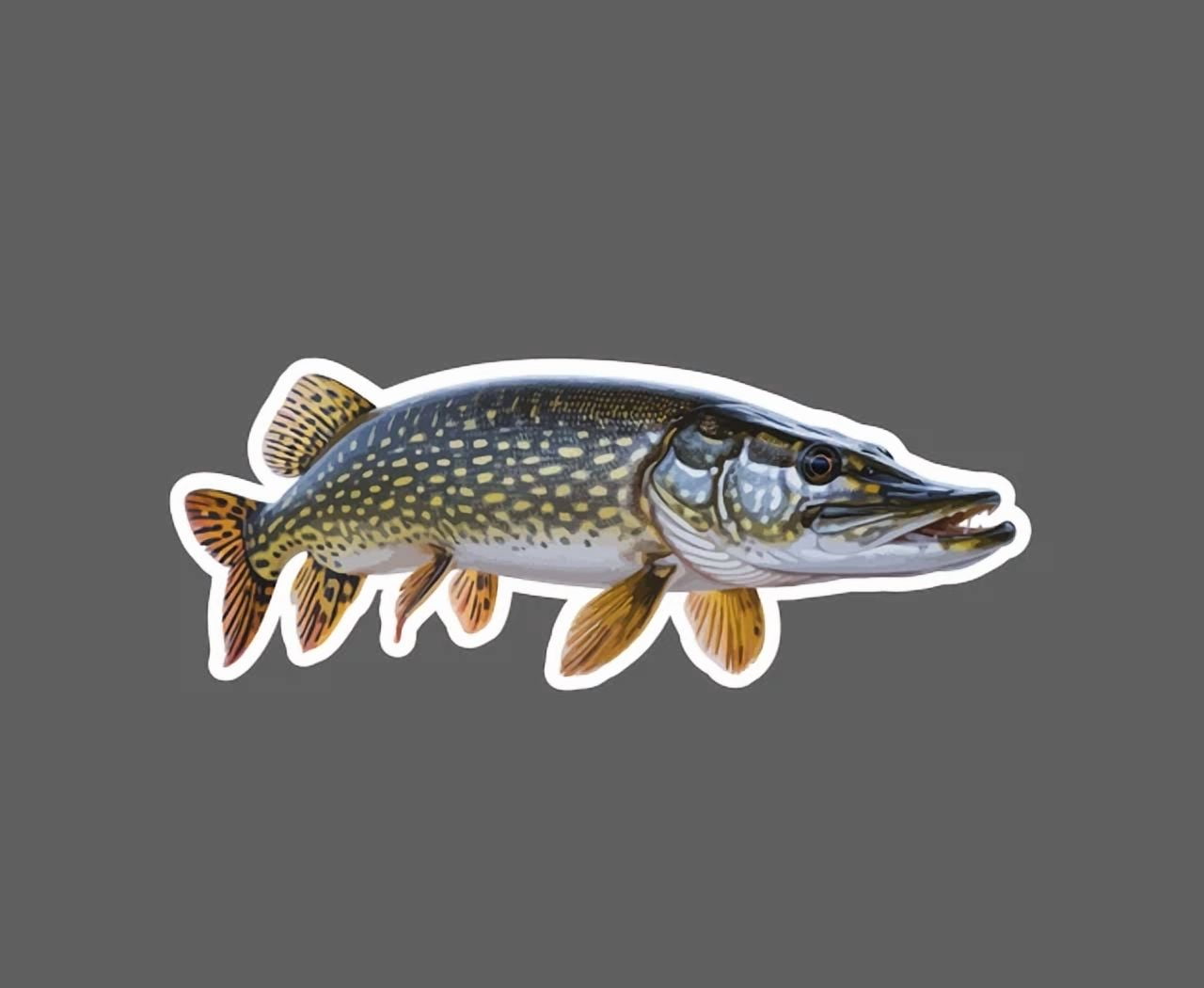DOPASTICKER Northern Pike Sticker Fish Wildlife Nature Gift Sticker ...