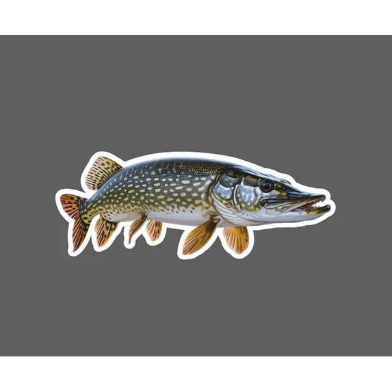 DOPASTICKER Northern Pike Sticker Fish Wildlife Nature Gift Sticker ...