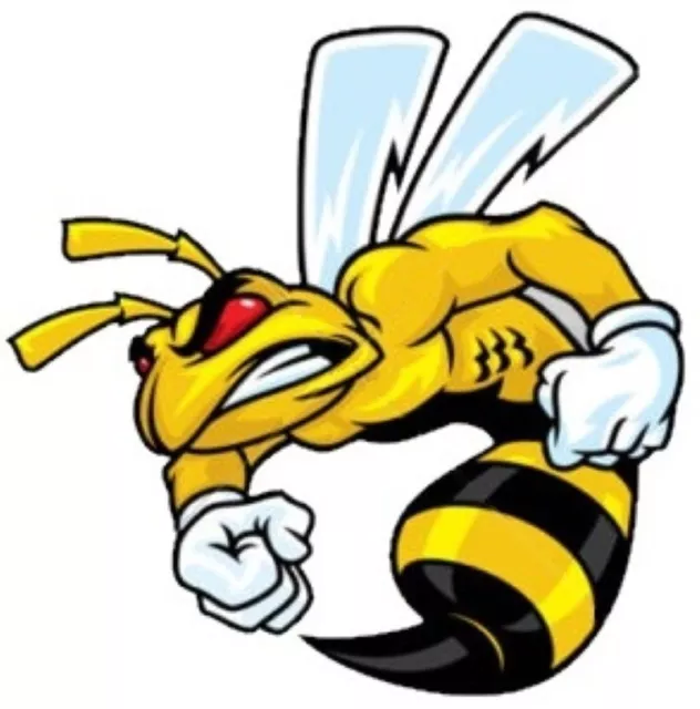 DOPASTICKER Nostalgic Super Bee Fighter Hard Hat Sticker Laptop Decal ...