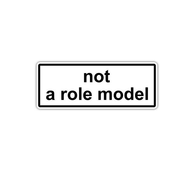 DOPASTICKER Not A Role Model Stickerss Decal Phone Decal Water Bottle ...