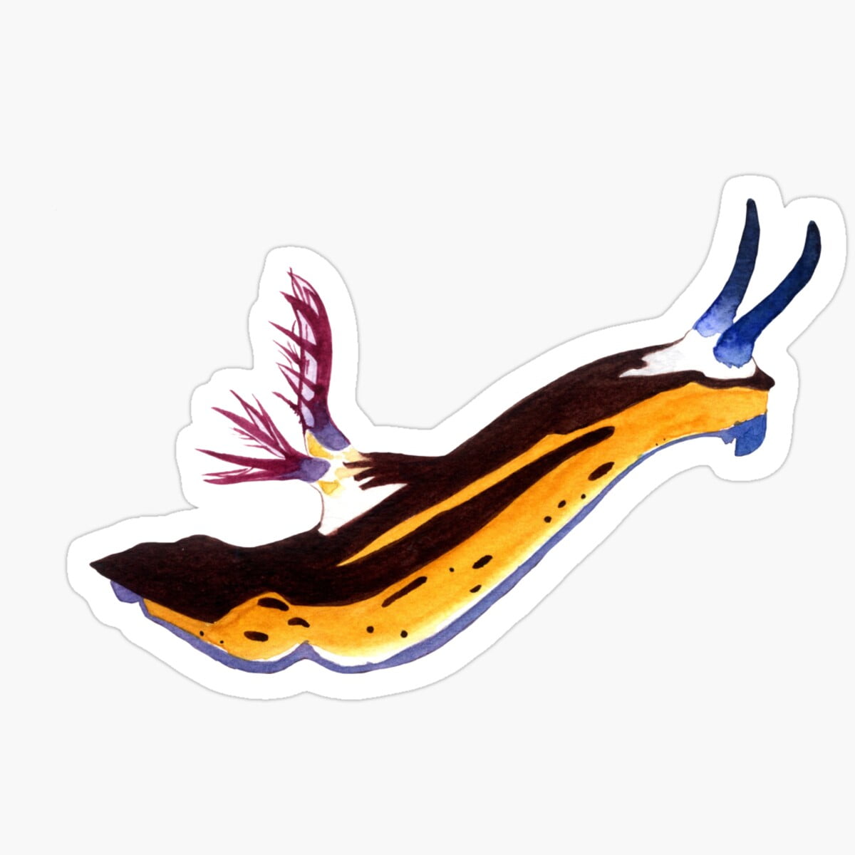 DOPASTICKER Nudibranch Glossy Sticker Birthday Gifts - Decorative ...